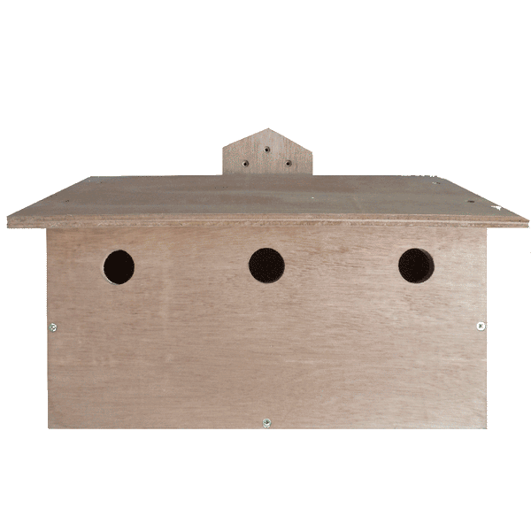 Sparrow Terrace – Bird Box Direct